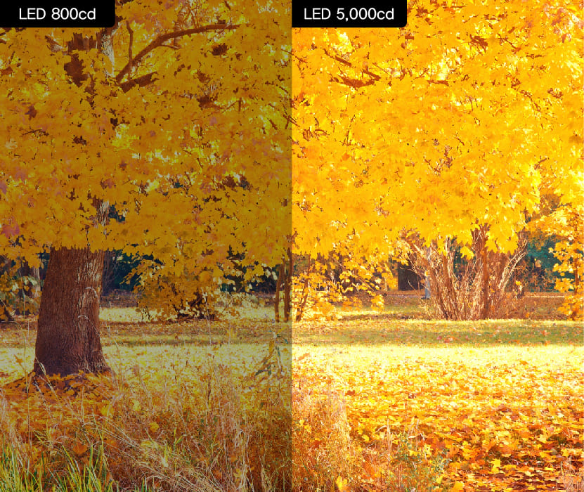 LED digital signage/Protruding(Outdoor) - DFLux Global